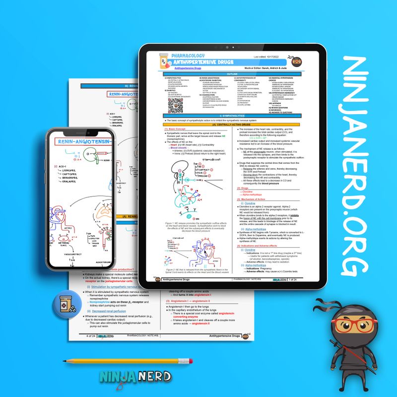 Antihypertensive Drugs - Notes - NinjaNerd Medicine